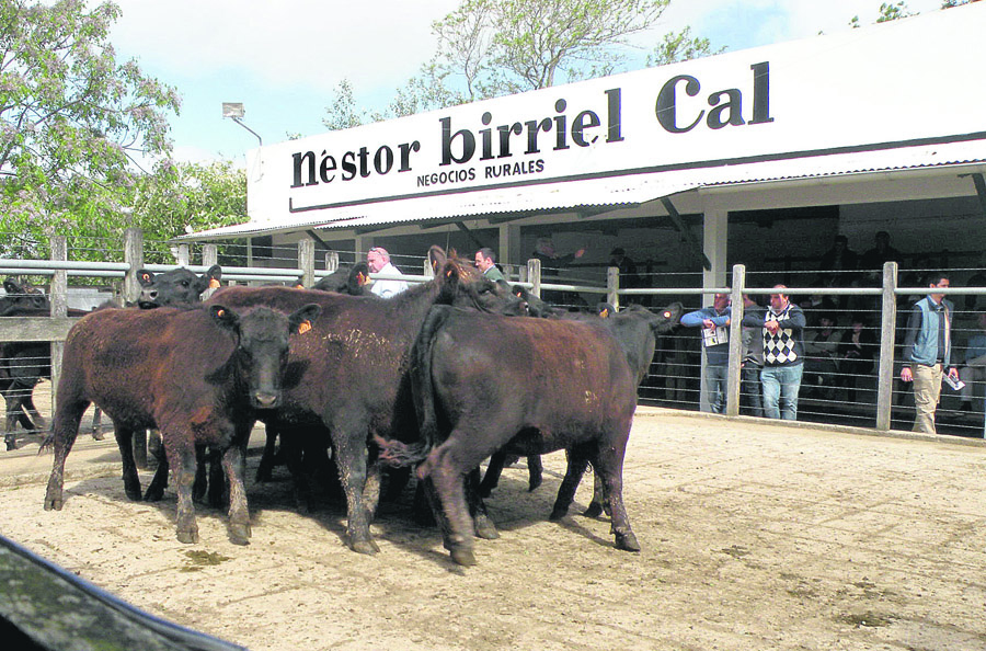 Feria de Birriel ejemplo a nivel internacional - EL PAÍS Uruguay