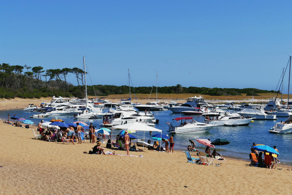 Gorriti aún espera su parador - EL PAÍS Uruguay